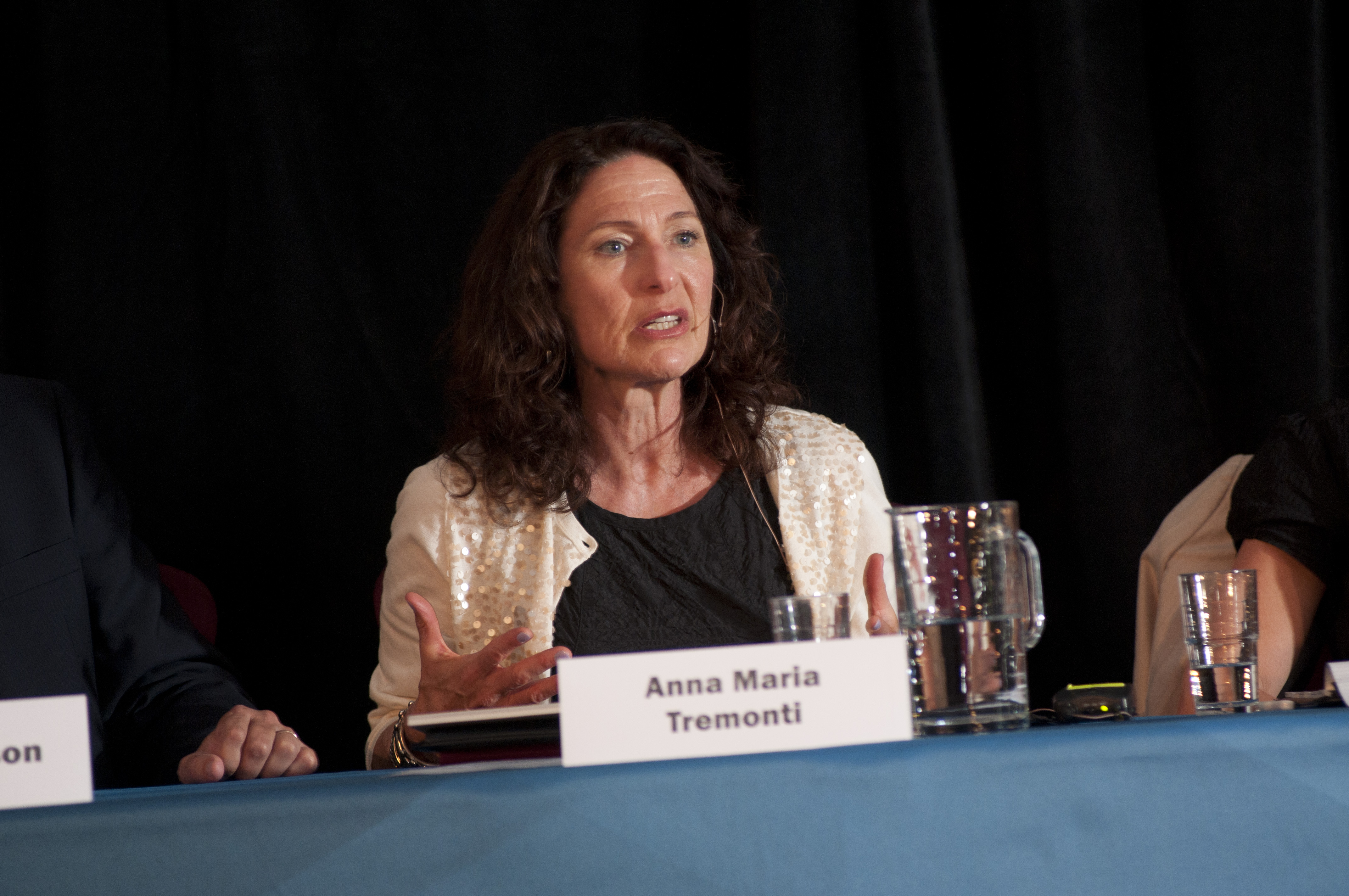 Anna Maria Tremonti - Glose